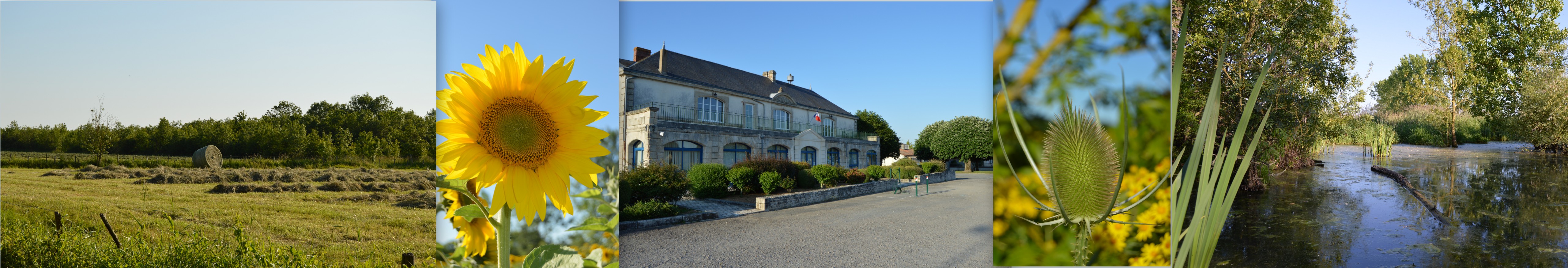 LE LANGON 2015 – LE LANGON