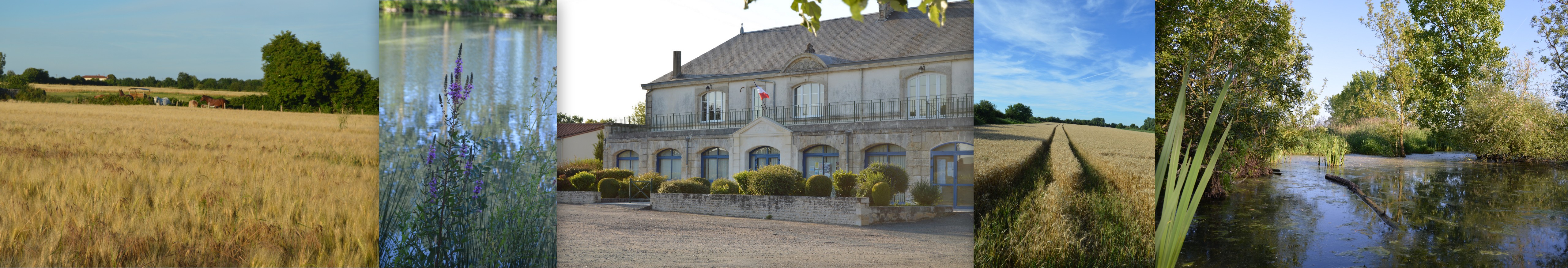 LE LANGON 2015 – LE LANGON